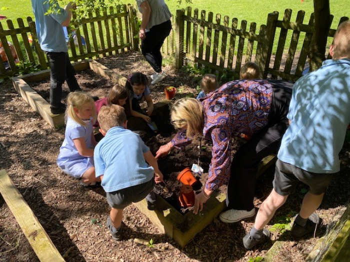Bridgemere CE Primary School | Science