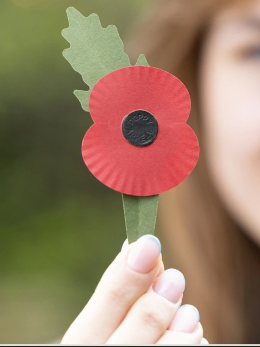 Tattenhall Business Alliance | Poppy Appeal 2023