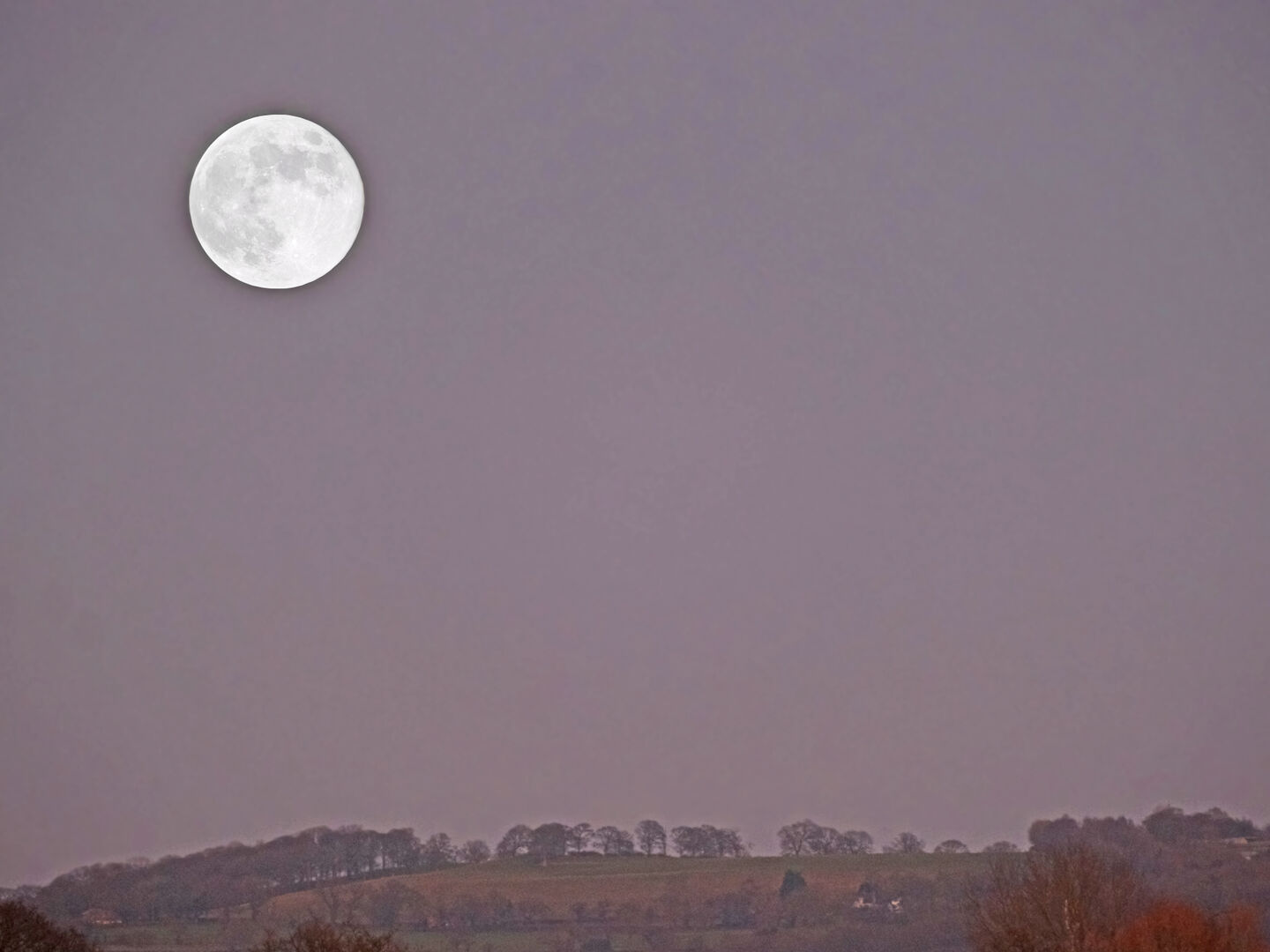 Inspiring Images - Wolf Moon